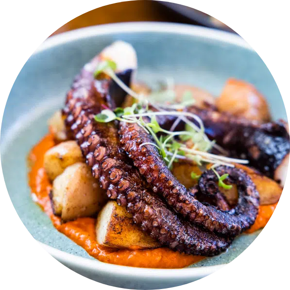 South Bank's best Brisbane Spanish Restaurant • Olé Restaurant